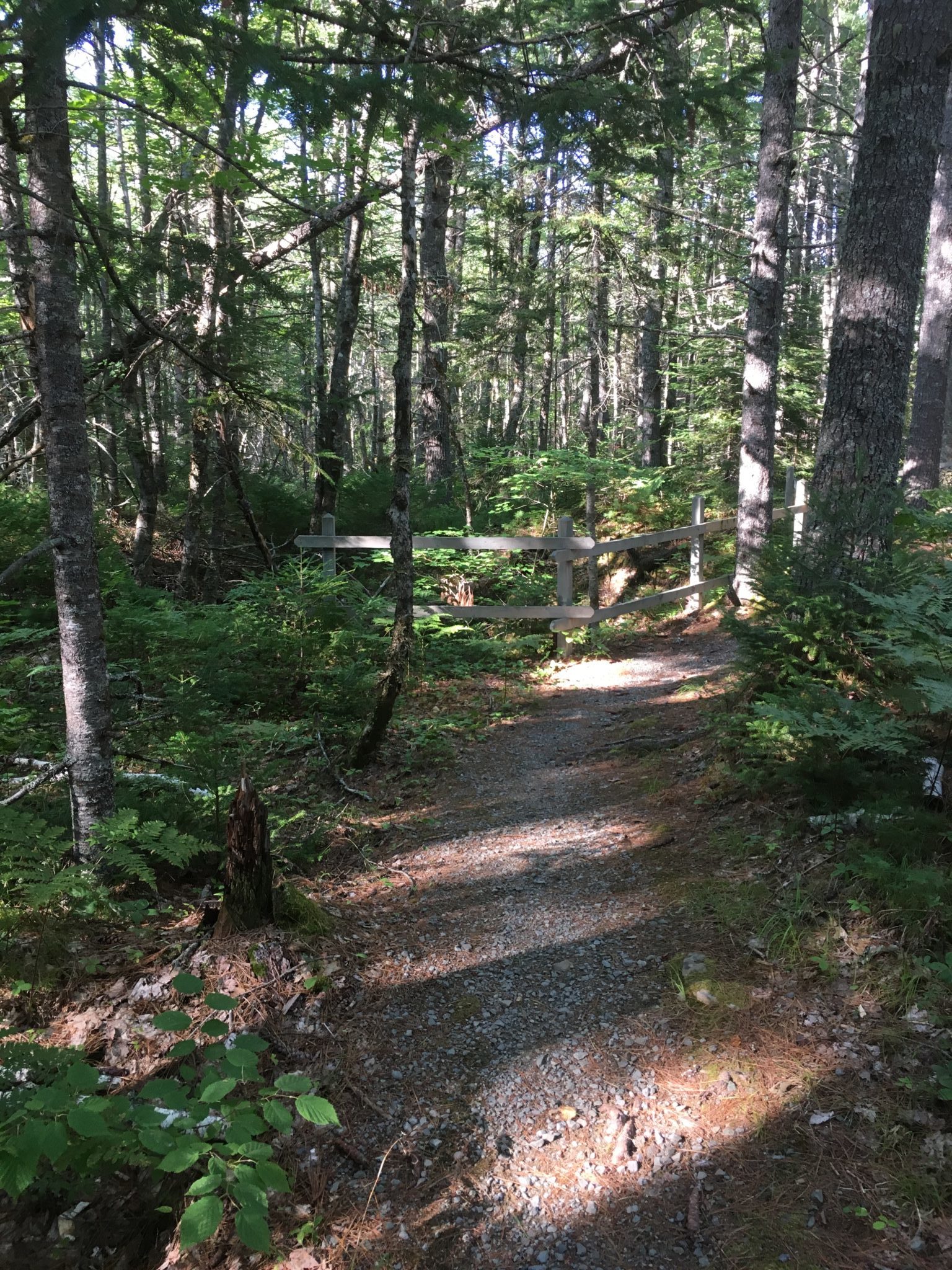 Hiking the Gold Mines Trail - Travel Talk Café
